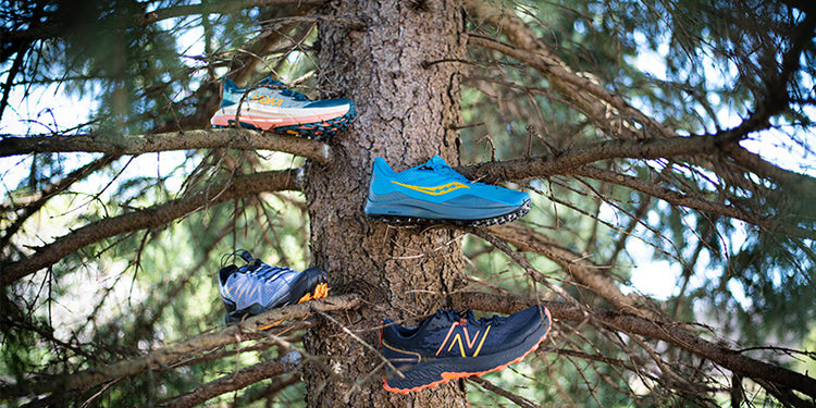 Do You Need Trail Running Shoes? – Gazelle Sports